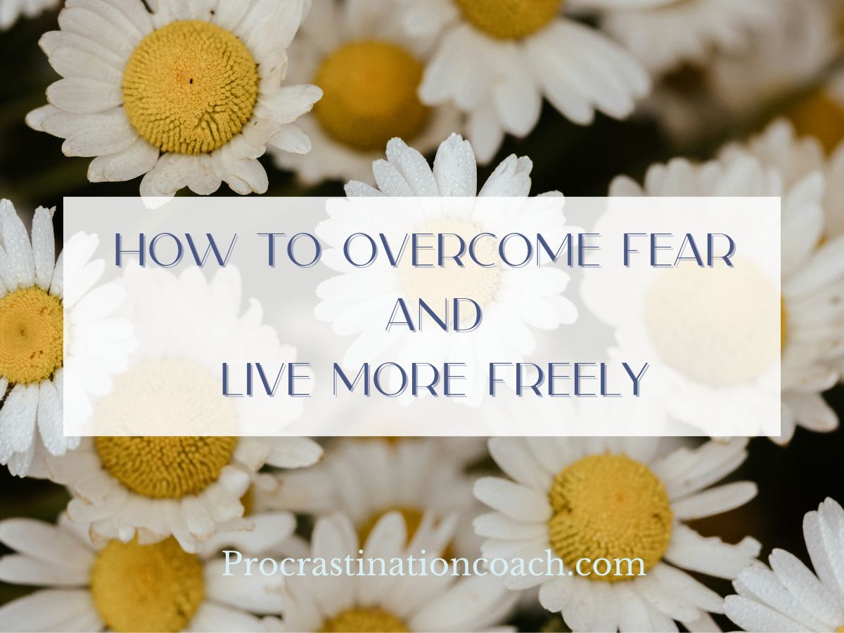 How to Overcome Fear and Live More Freely - Procrastination Coach